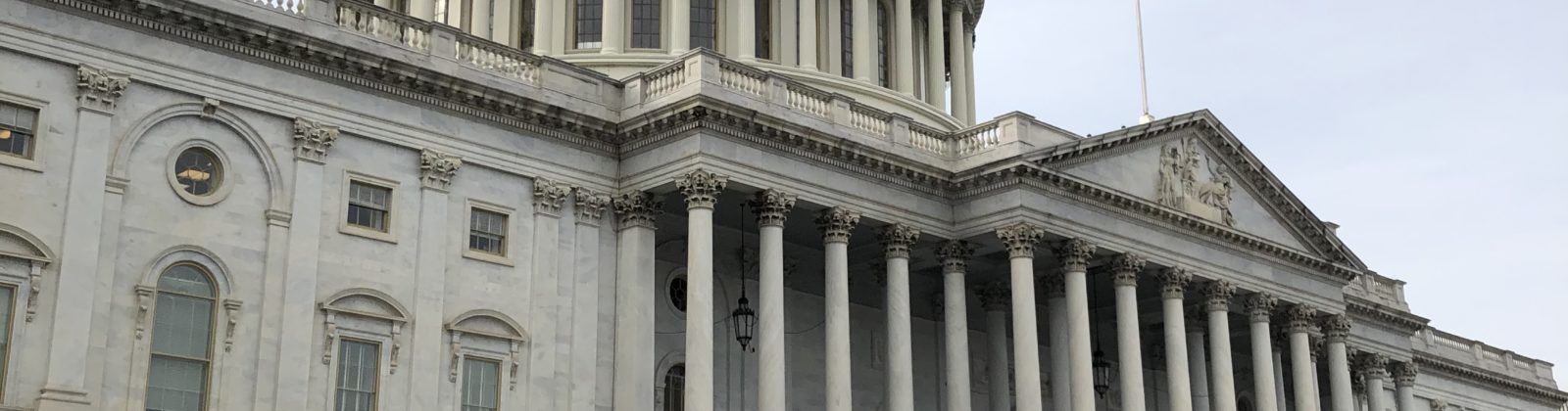 Simple Civics 101-How a Bill Becomes a Law | Civics & Citizenship